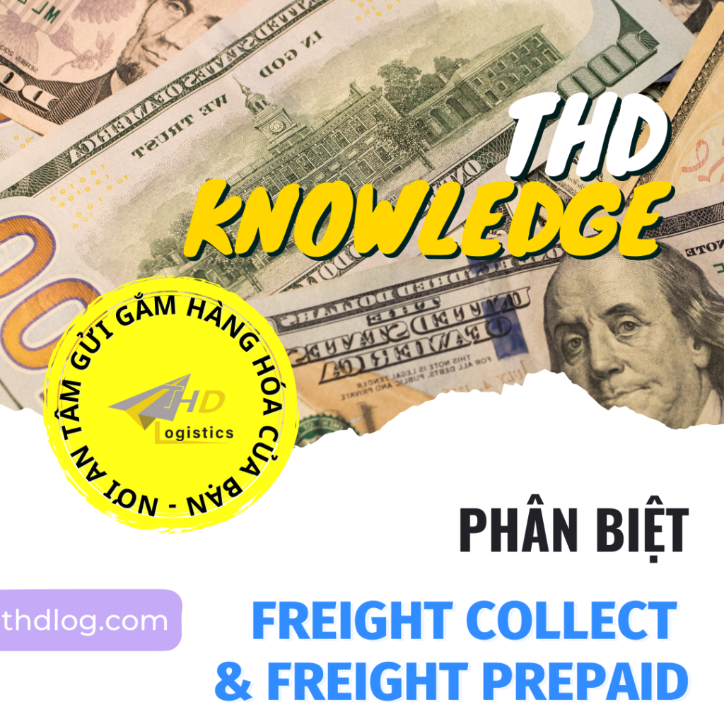 Phân biệt Freight Prepaid và Freight Collect | THD LOGISTICS VIETNAM